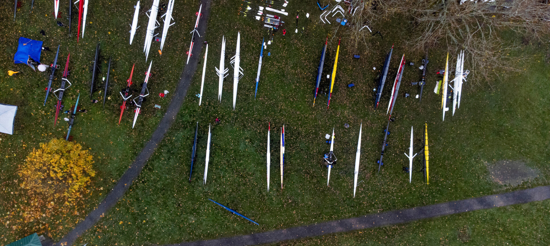 Rachel Wolff nommée gestionnaire des événements nationaux de Rowing ...